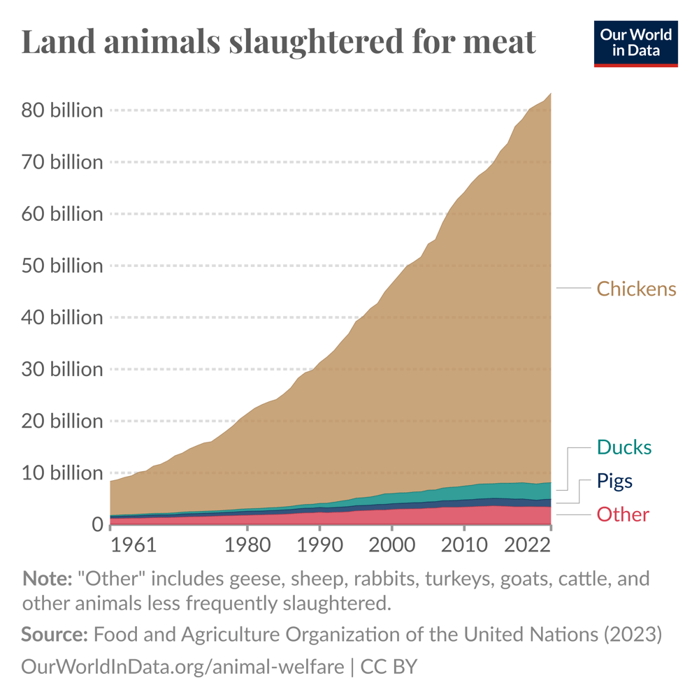 More than 80 billion land animals are slaughtered for meat every year ...