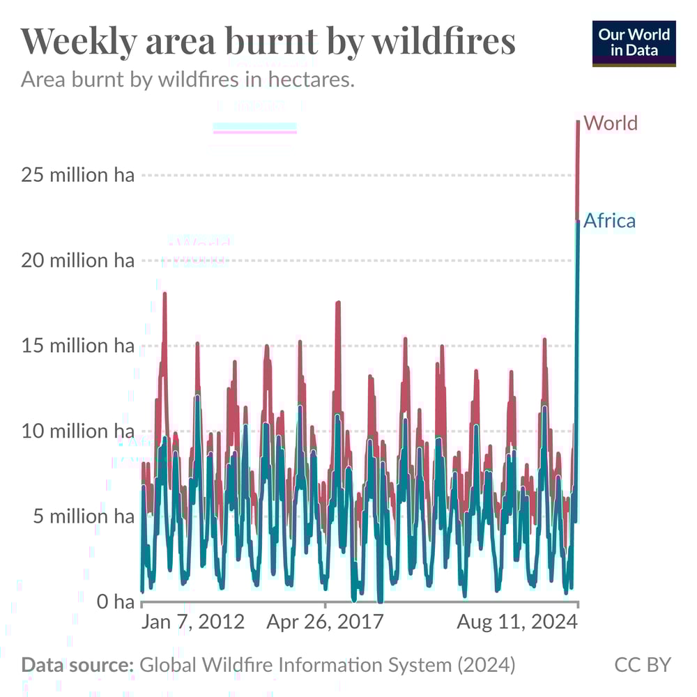 August 2024 has seen a surge in wildfires worldwide, mainly in Africa ...