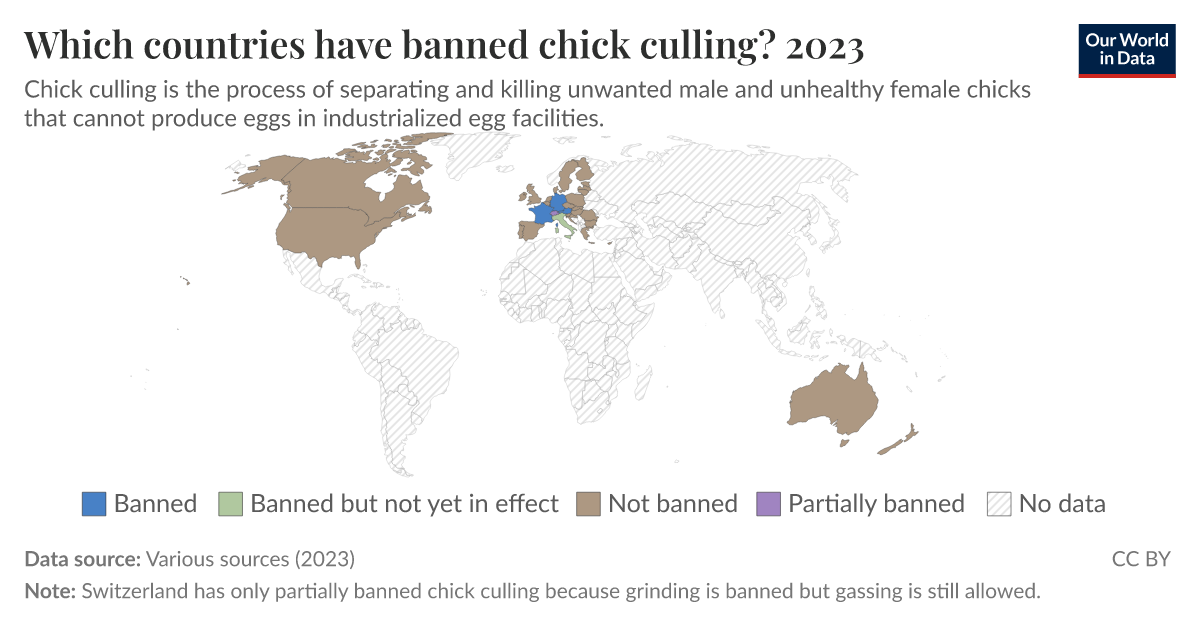 Which countries have banned chick culling? - Our World in Data
