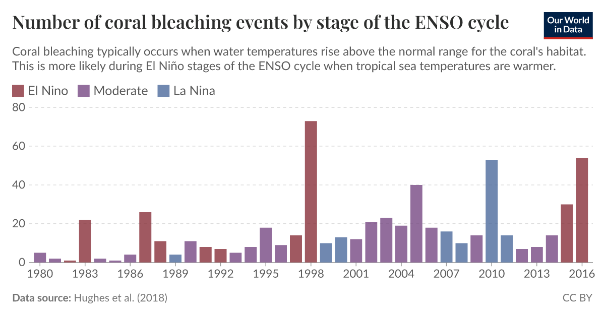 Number of coral bleaching events by stage of the ENSO cycle - Our World ...