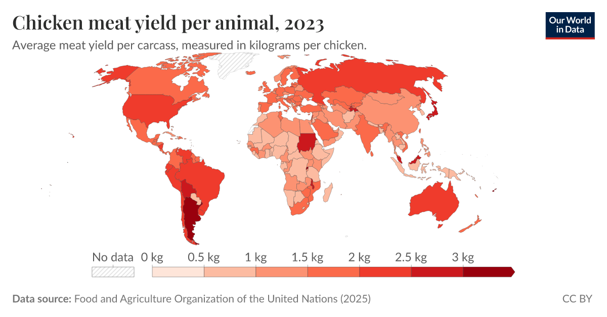 Chicken meat yield per animal - Our World in Data