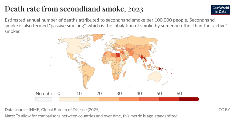 Secondhand Smoke Death Statistics How Many People Die From Smoking?