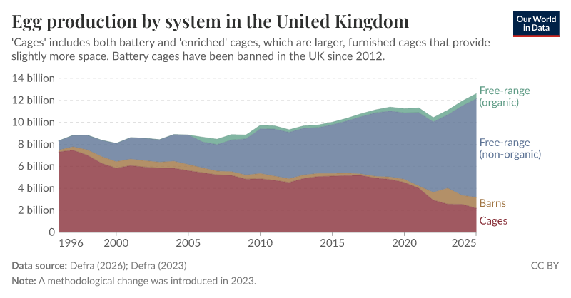 Egg Production In The Uk