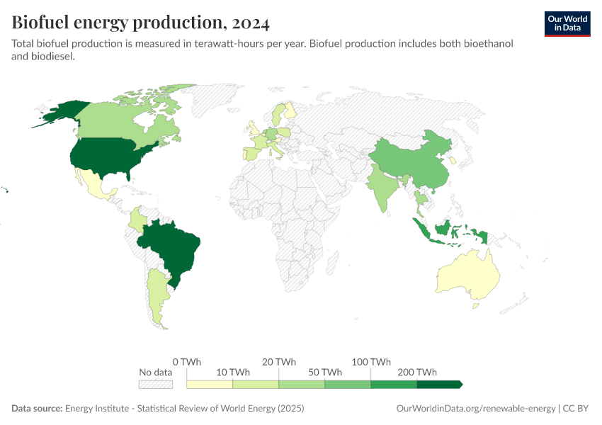 Biofuel energy production - Our World in Data