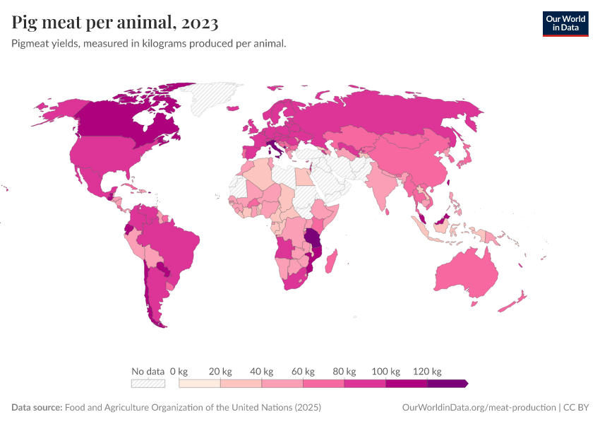 Pig meat yields, kilograms per animal - Our World in Data
