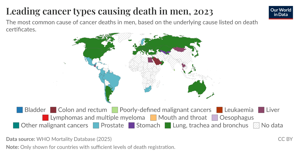 Leading cancer types causing death in men - Our World in Data