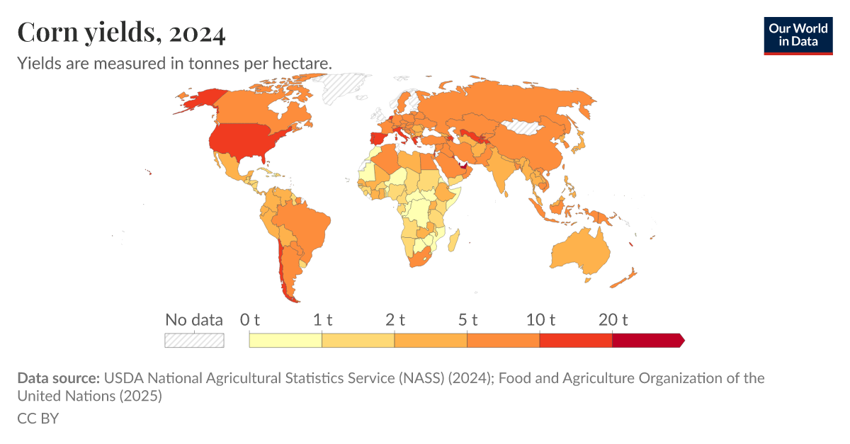 Corn yields - Our World in Data