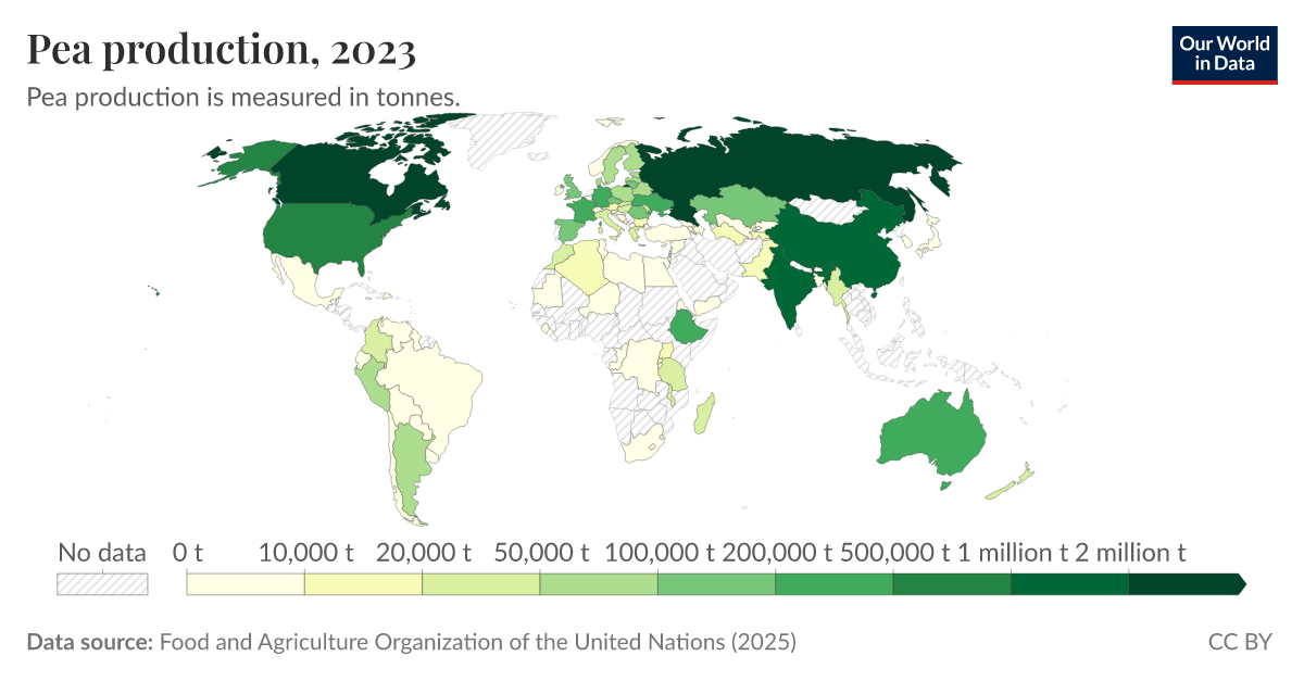 Pea production - Our World in Data
