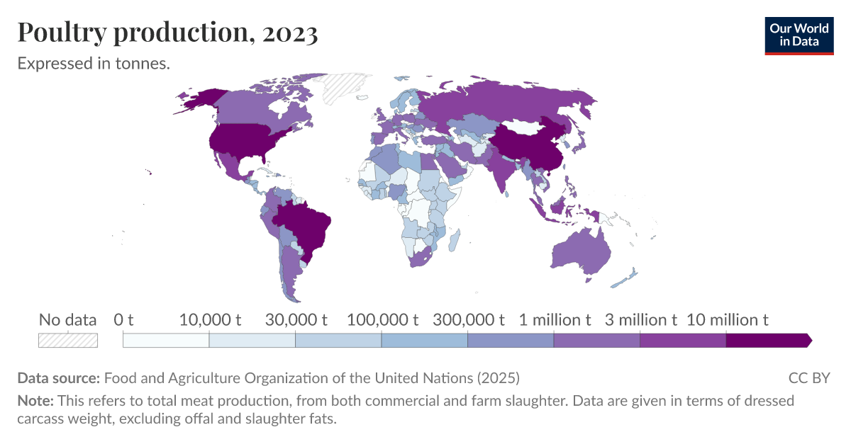 Poultry production - Our World in Data