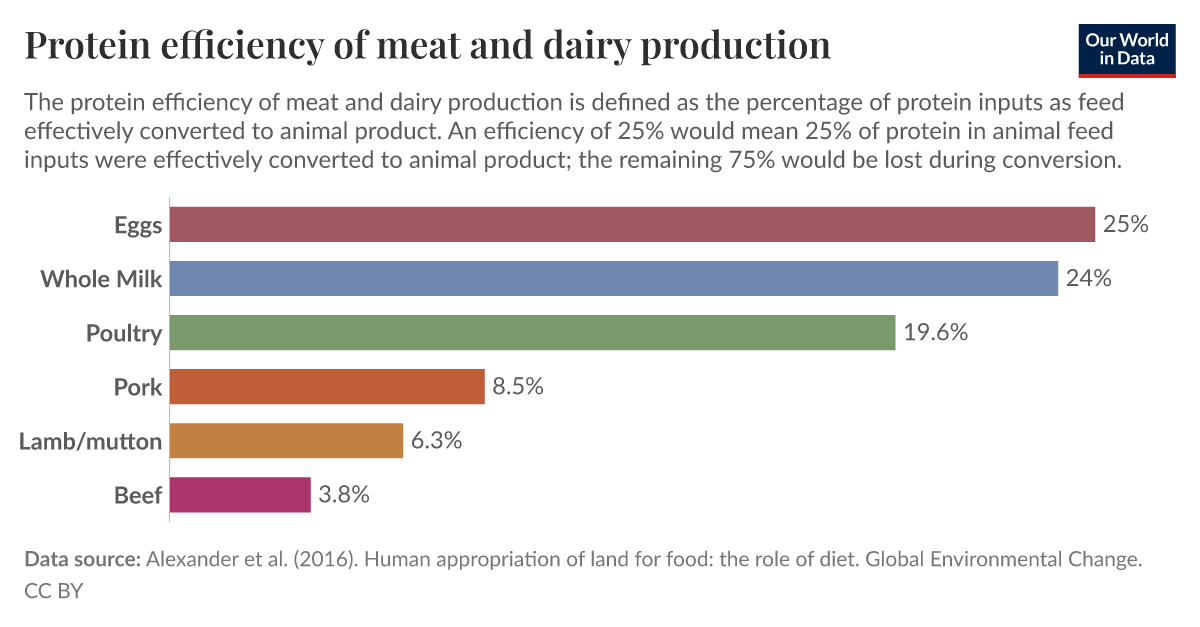 Protein efficiency of meat and dairy production - Our World in Data