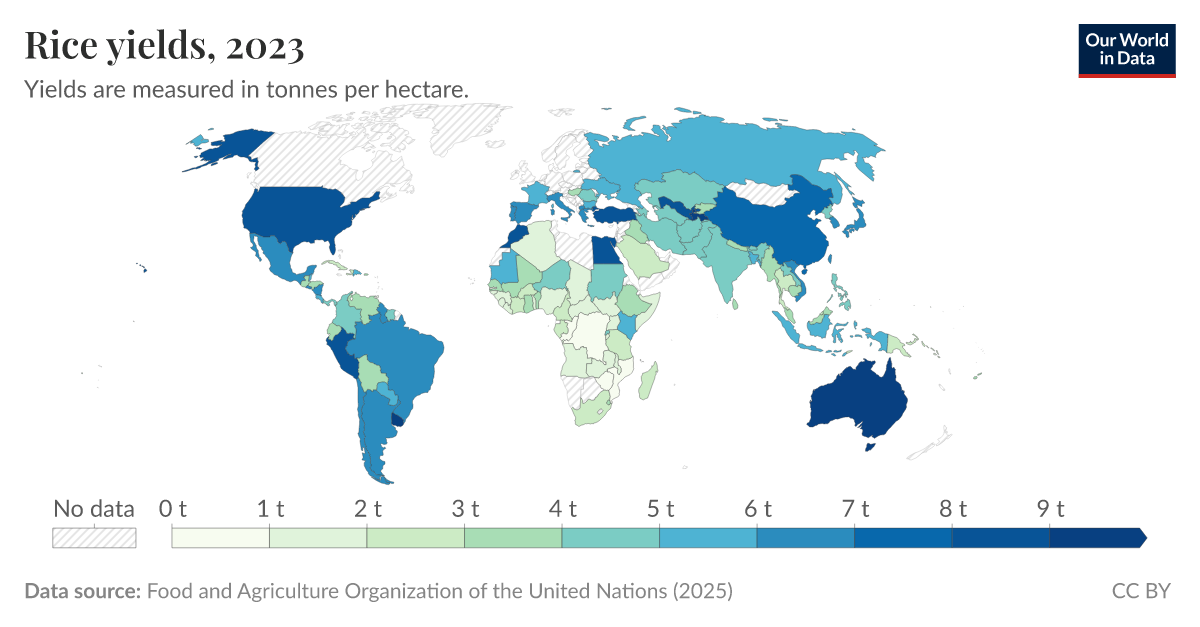 Rice yields - Our World in Data