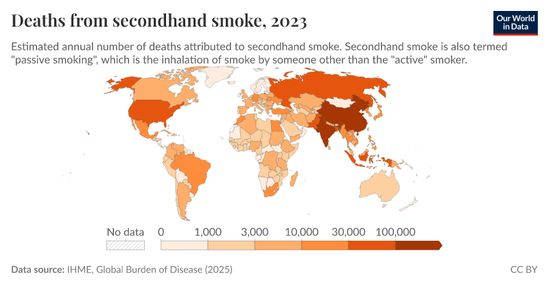 Secondhand Smoke Death Statistics How Many People Die From Smoking?