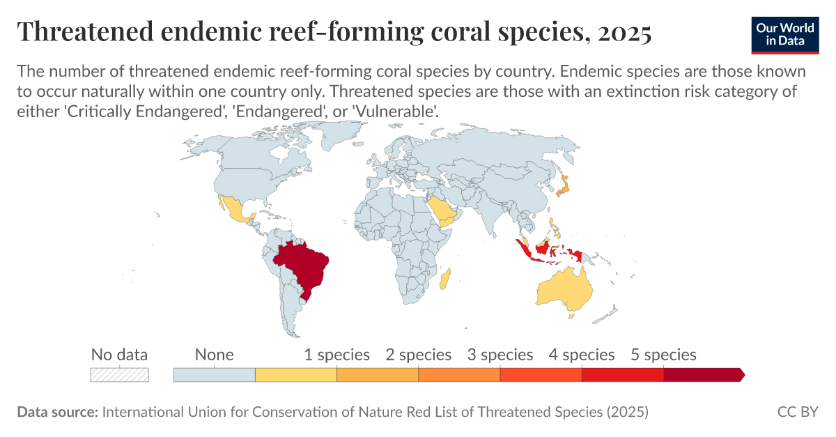Endangered Coral Reef Map New AI Tool Will Help Survey, Protect Coral