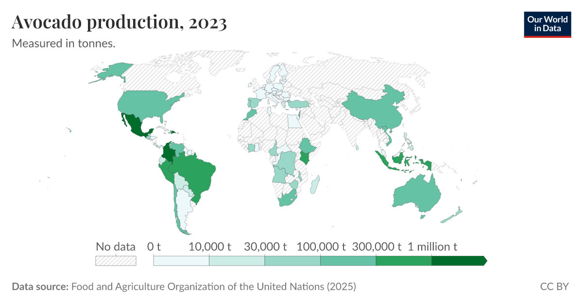 Avocado production - Our World in Data