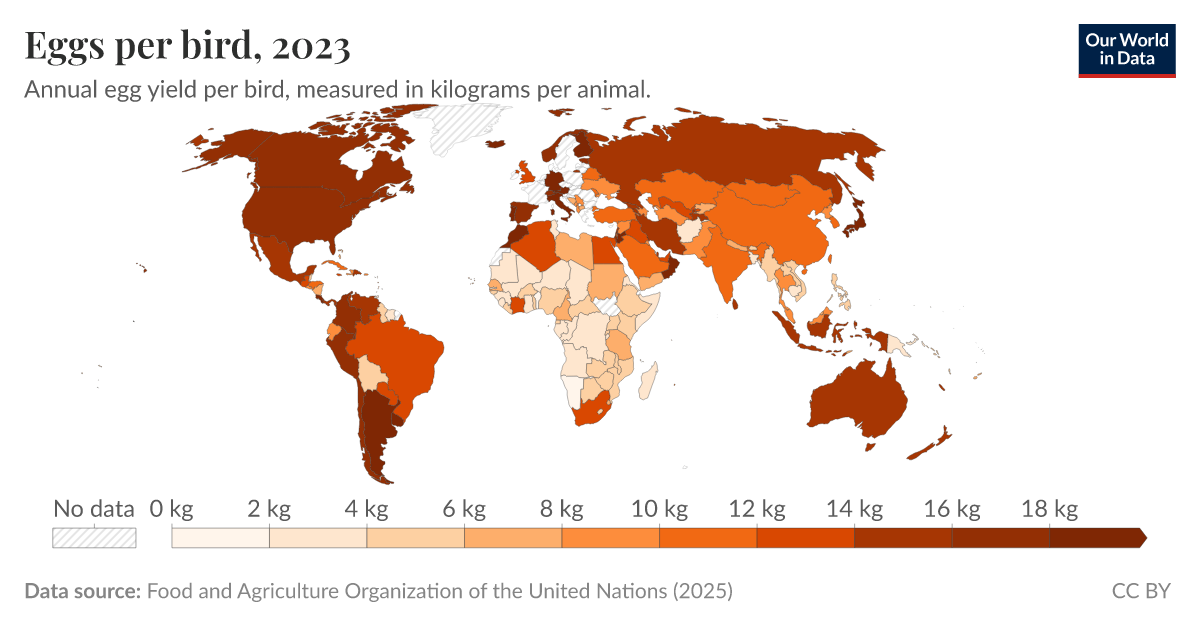 Eggs per bird - Our World in Data