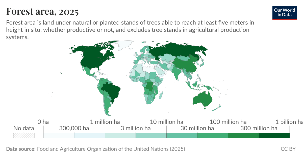 Forest area - Our World in Data