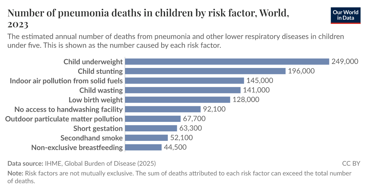 Number of pneumonia deaths in children by risk factor - Our World in Data