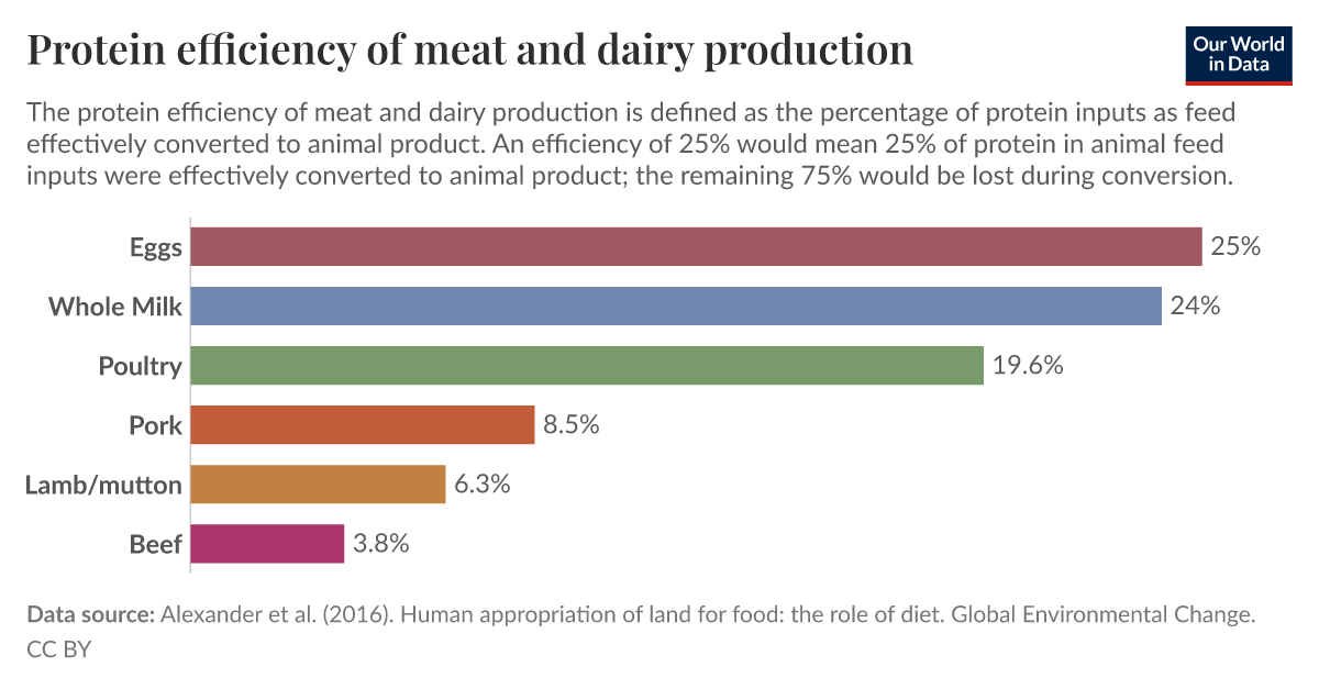 Protein efficiency of meat and dairy production - Our World in Data