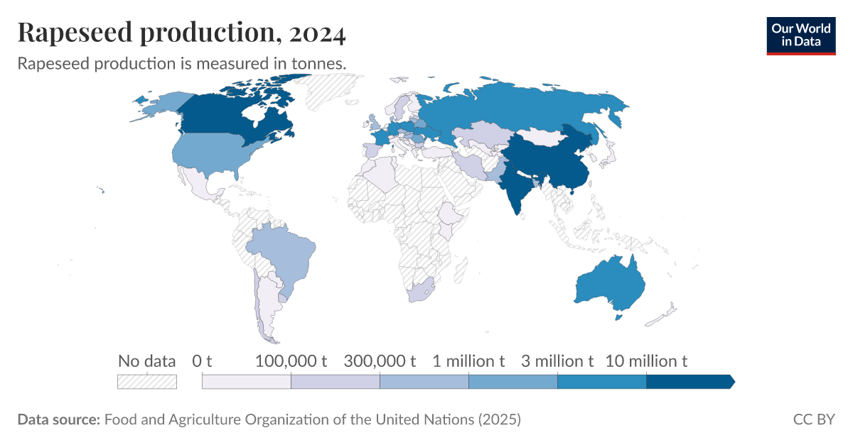 Rapeseed production - Our World in Data