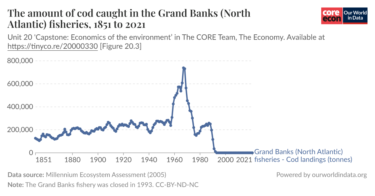 The amount of cod caught in the Grand Banks (North Atlantic) fisheries ...