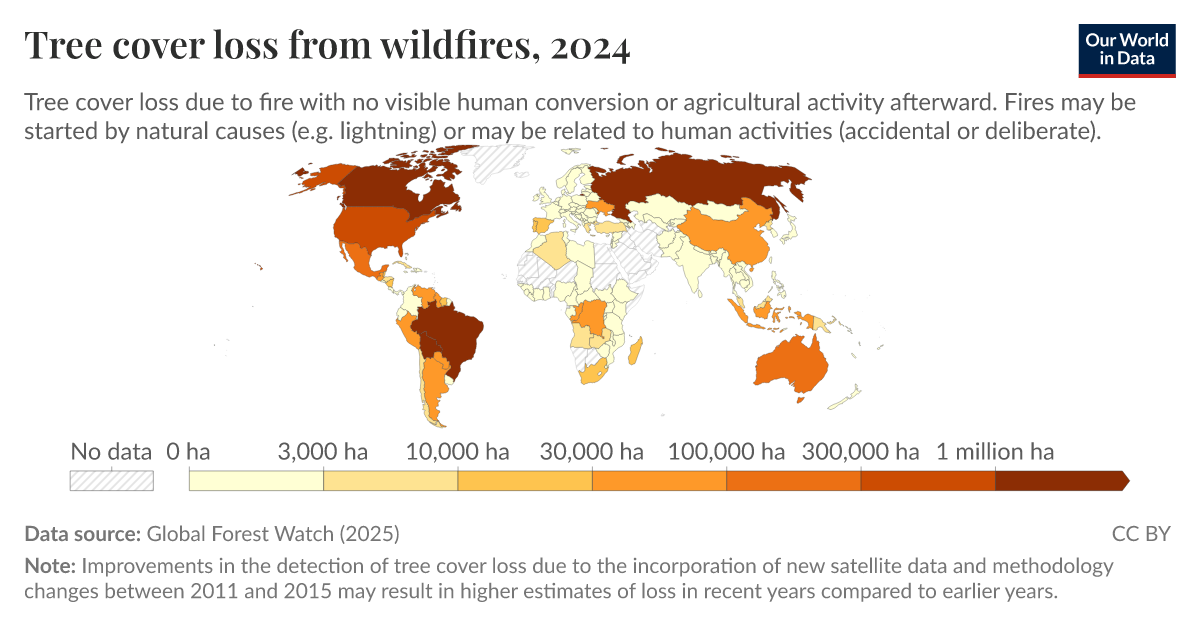 Tree cover loss from wildfires - Our World in Data